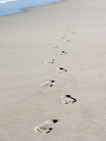 Monterey Bay Hotel By Cannery Row – Wave Street Inn