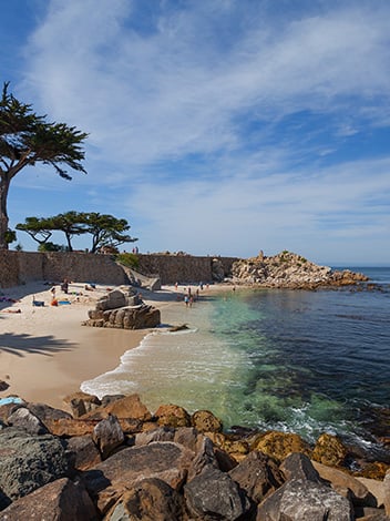 Cozy Hotel in Monterey Near Cannery Row | Wave Street Inn